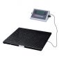 Balanza electrónica de Plataforma de 2 Ton. Alta Calidad | DISNAEMPA